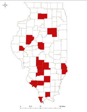 How prisons inflate white voting power in downstate Illinois | Chicago ...